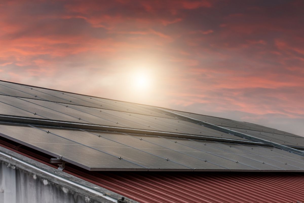 Canadian & GCL Solar Panel | Loungi & Q Cells Solar Panel - Gnowee Solar